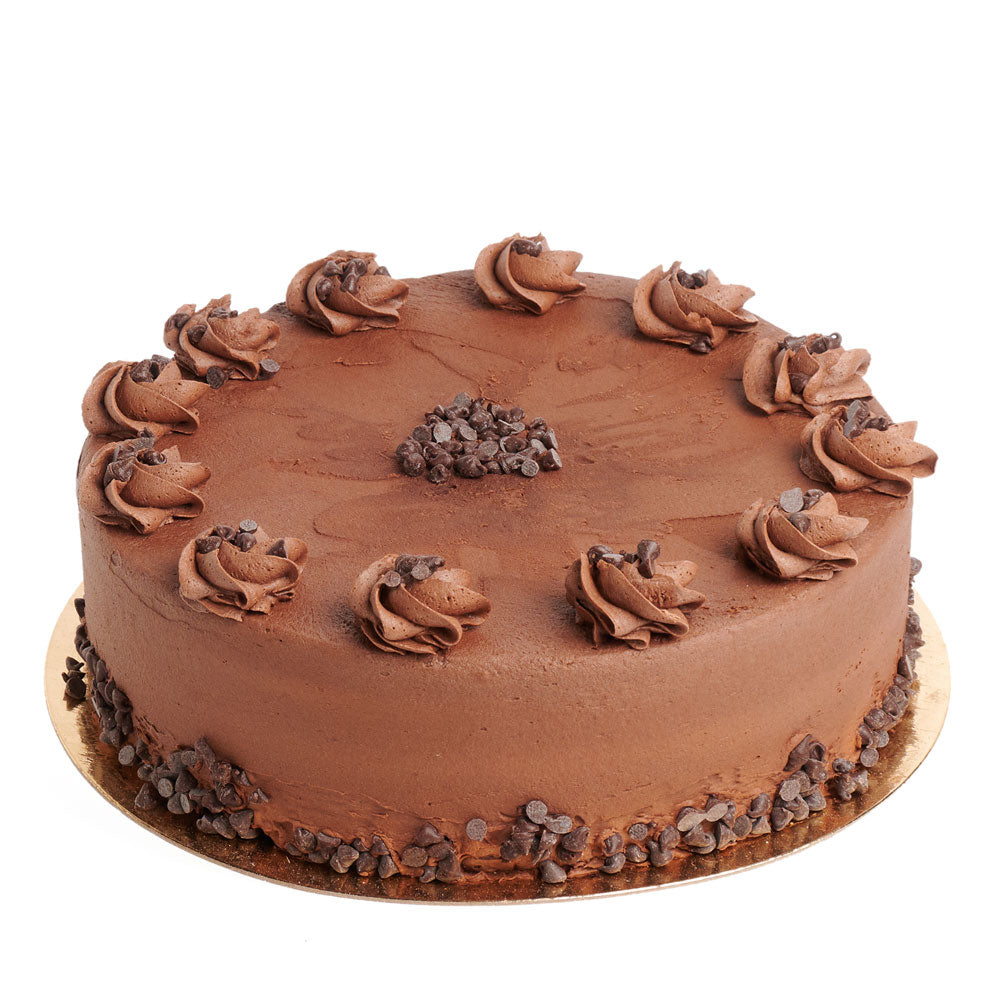 Large Vegan Chocolate Layer Cake – Naked Cake Company